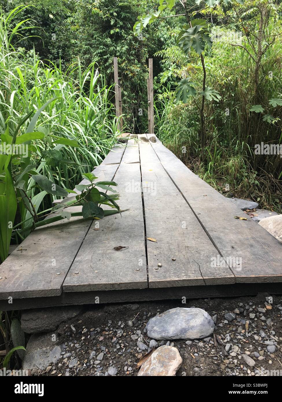 The yungas hi-res stock photography and images - Alamy