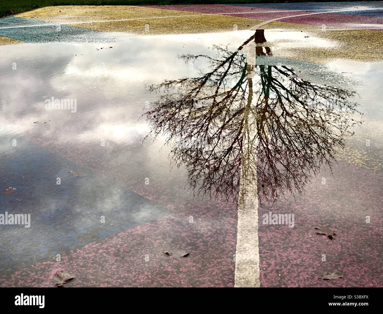 Tree reflection in playground puddle Stock Photo - Alamy