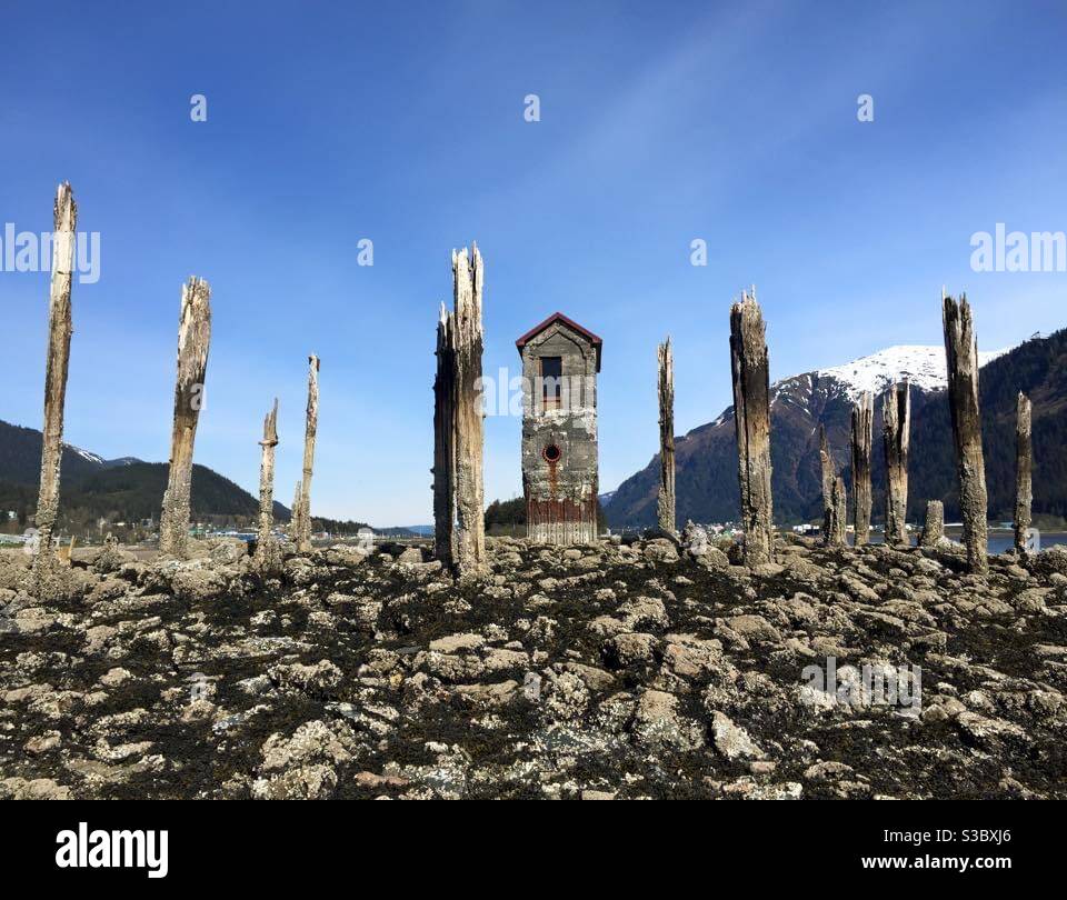 Treadwell hi-res stock photography and images - Alamy