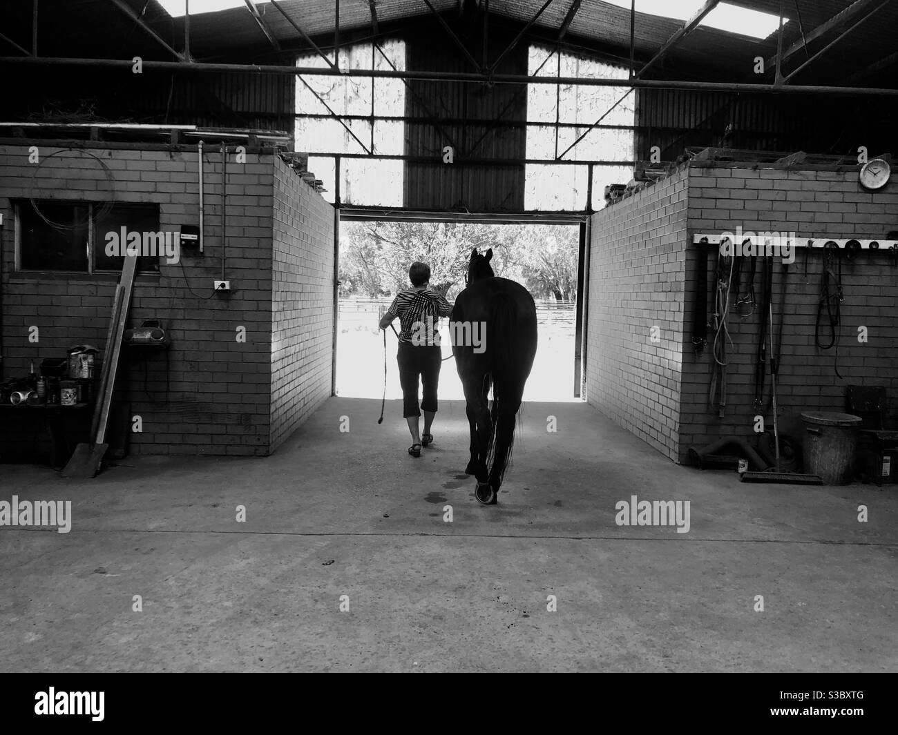 Woman leading a horse hi-res stock photography and images - Alamy