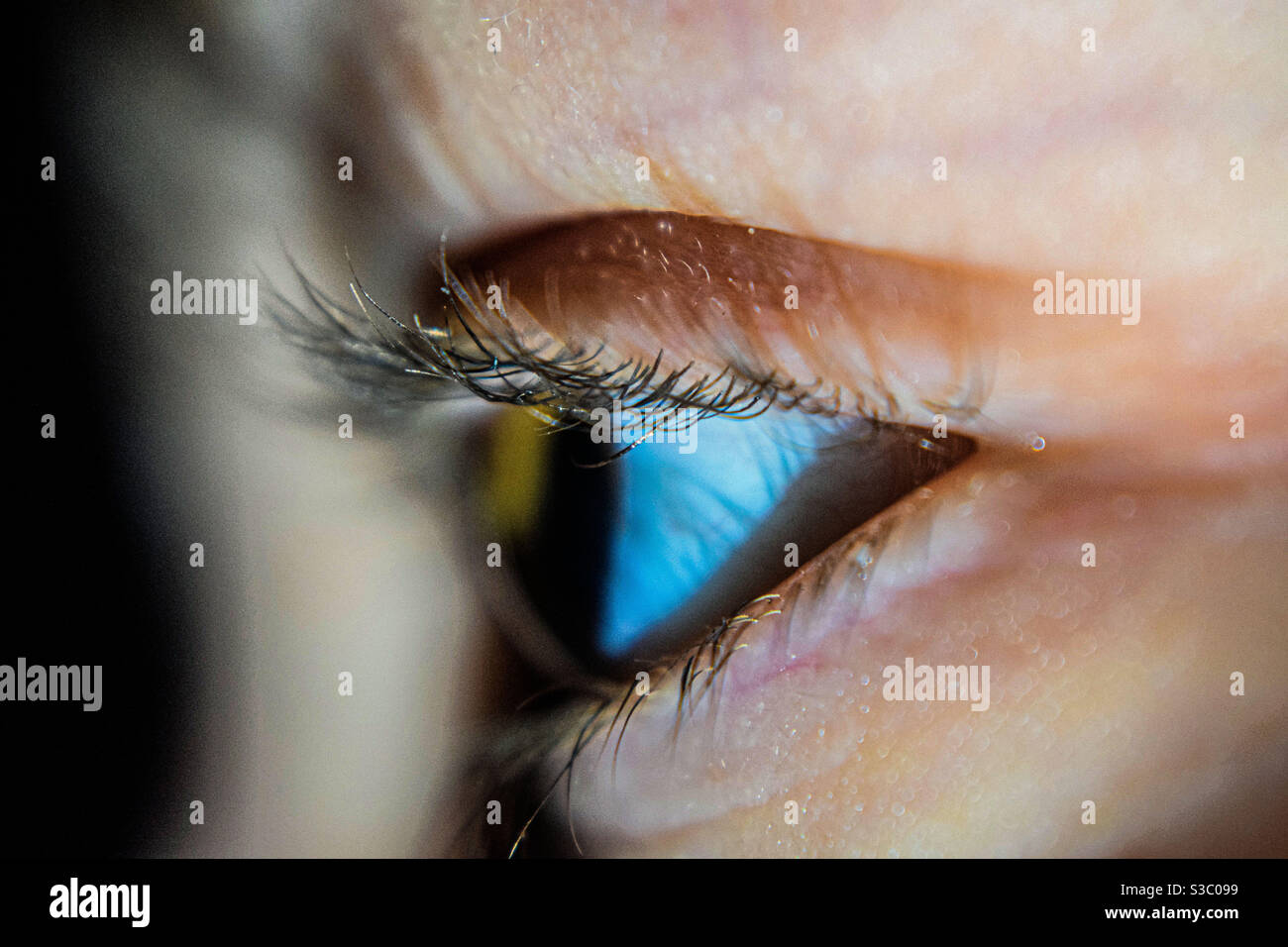 Hazel eye hi-res stock photography and images - Alamy