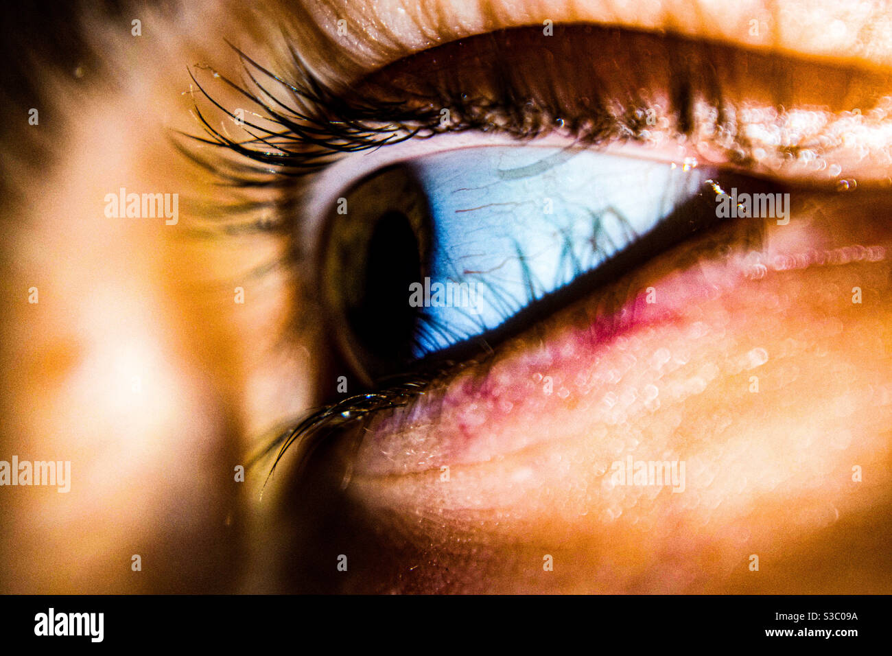 Hazel eye hi-res stock photography and images - Alamy
