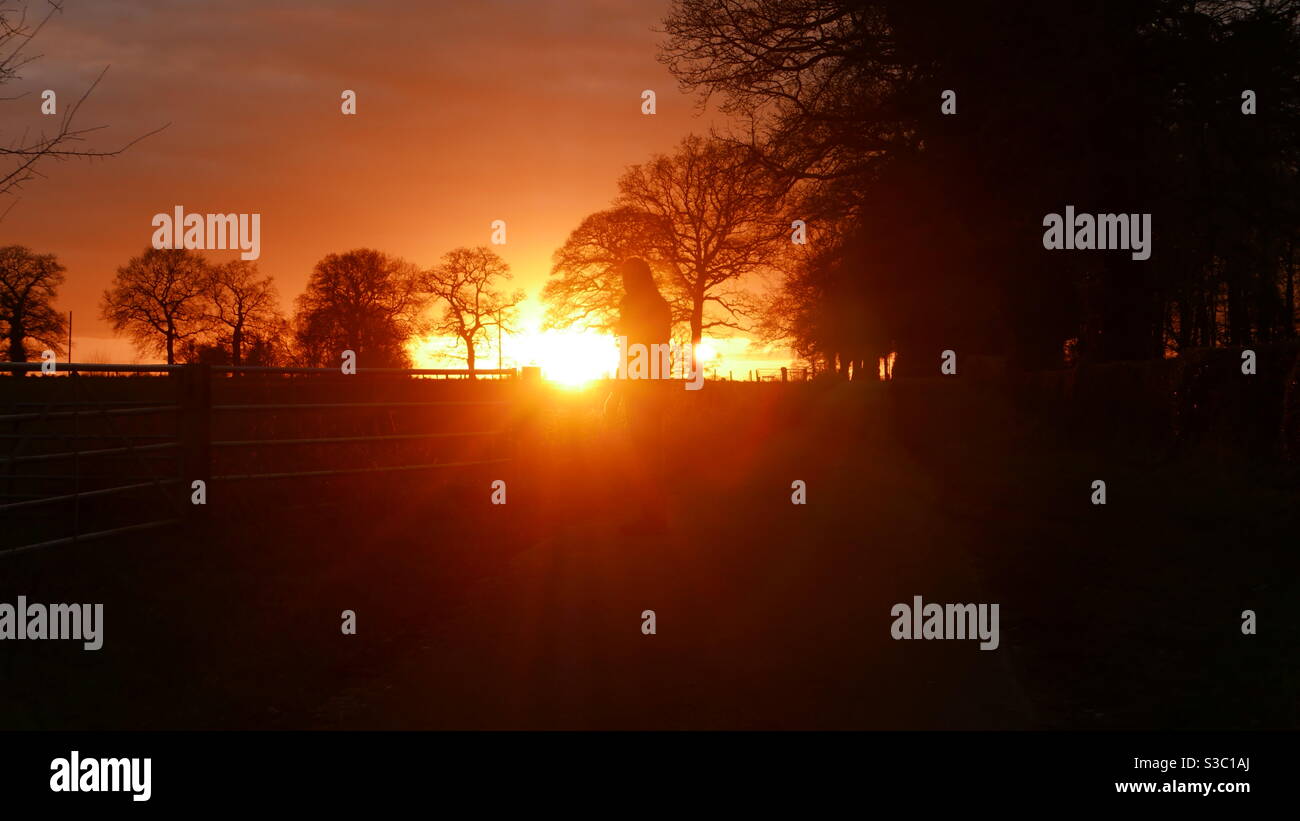 Christmas Day sunset Stock Photo - Alamy