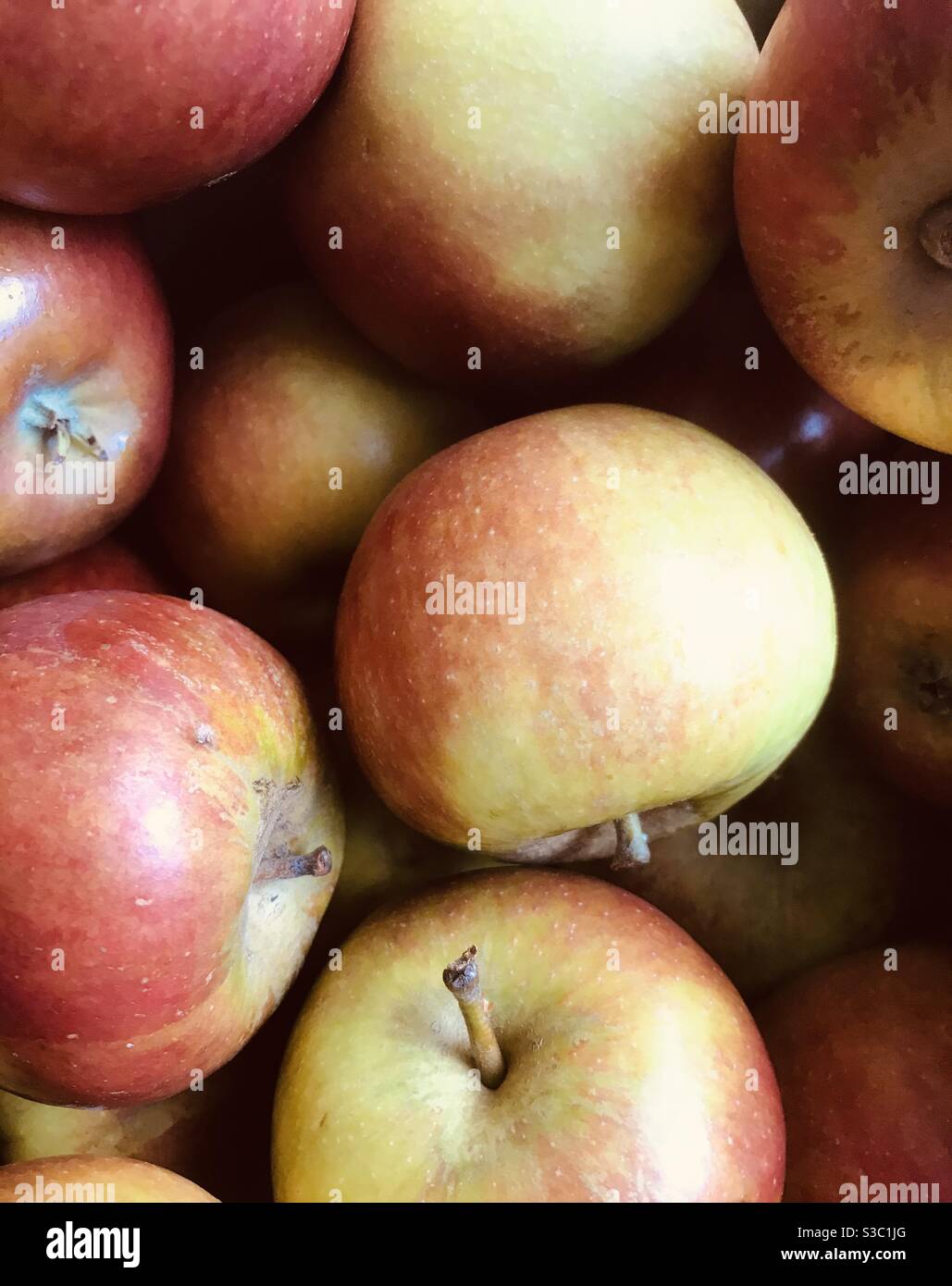 Cox apples close up Stock Photo - Alamy