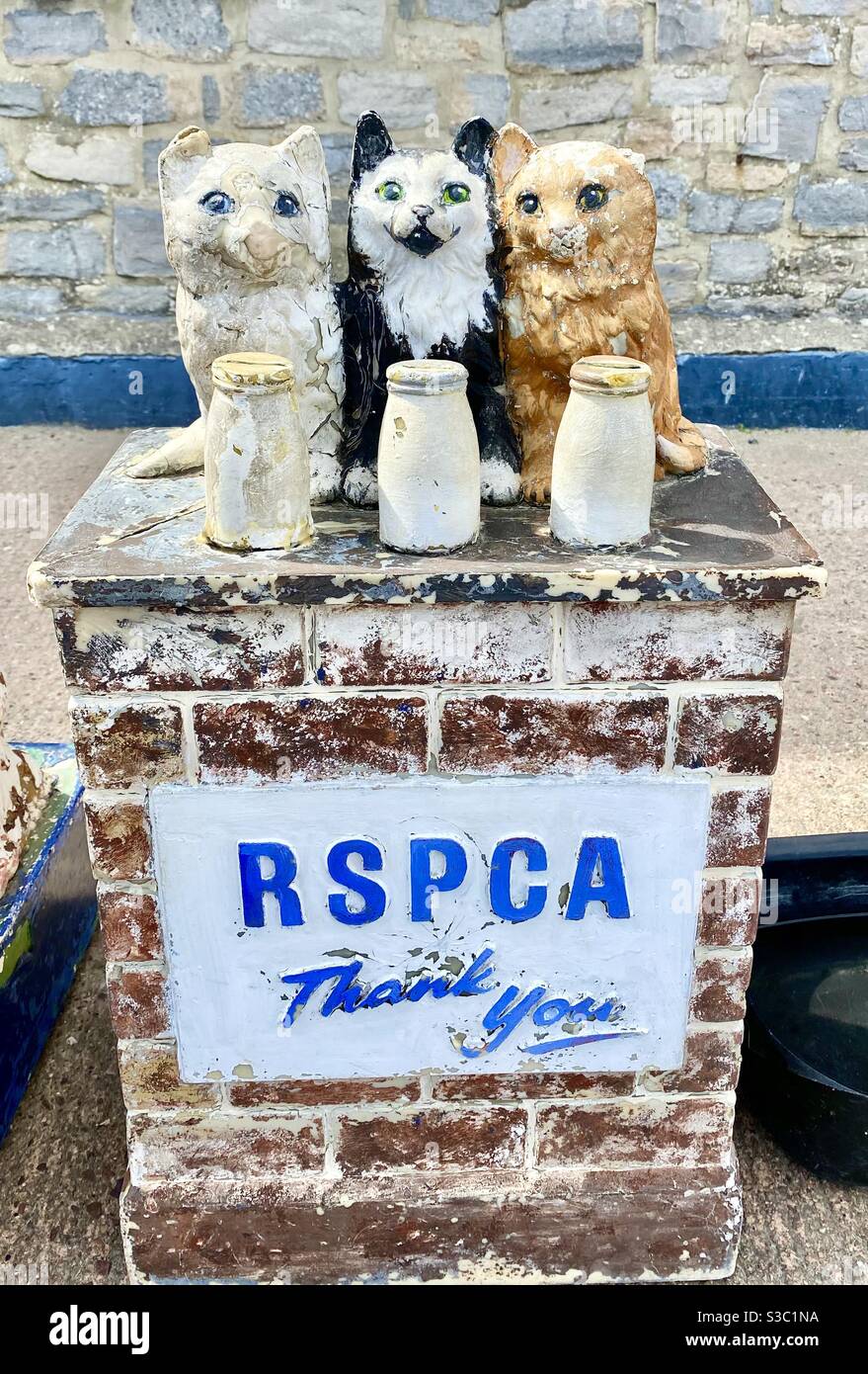 Rspca cats hi-res stock photography and images - Alamy