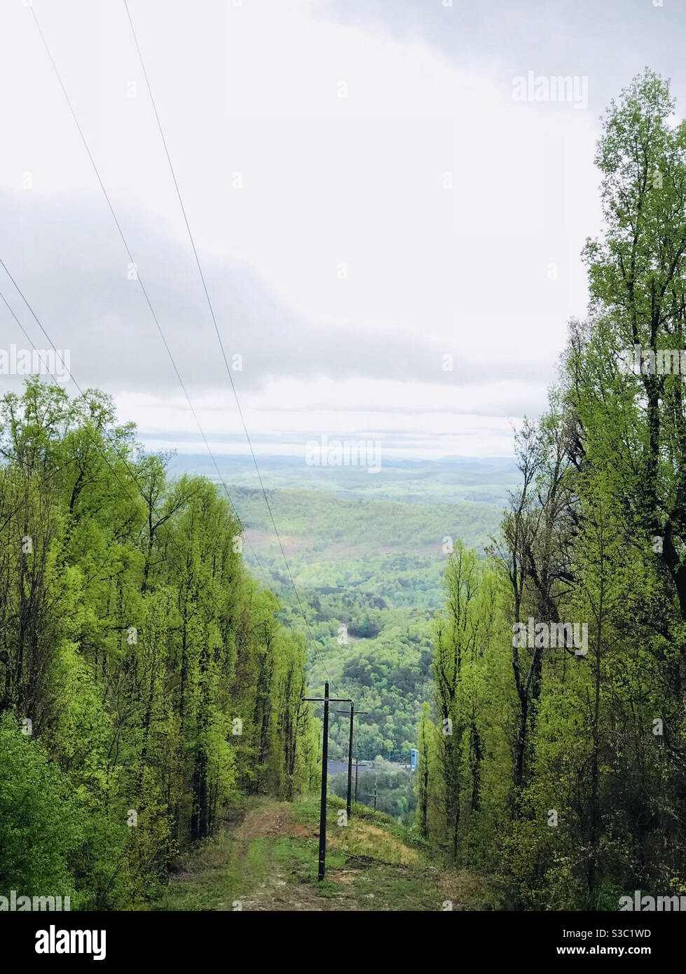 Power of trees hi-res stock photography and images - Alamy