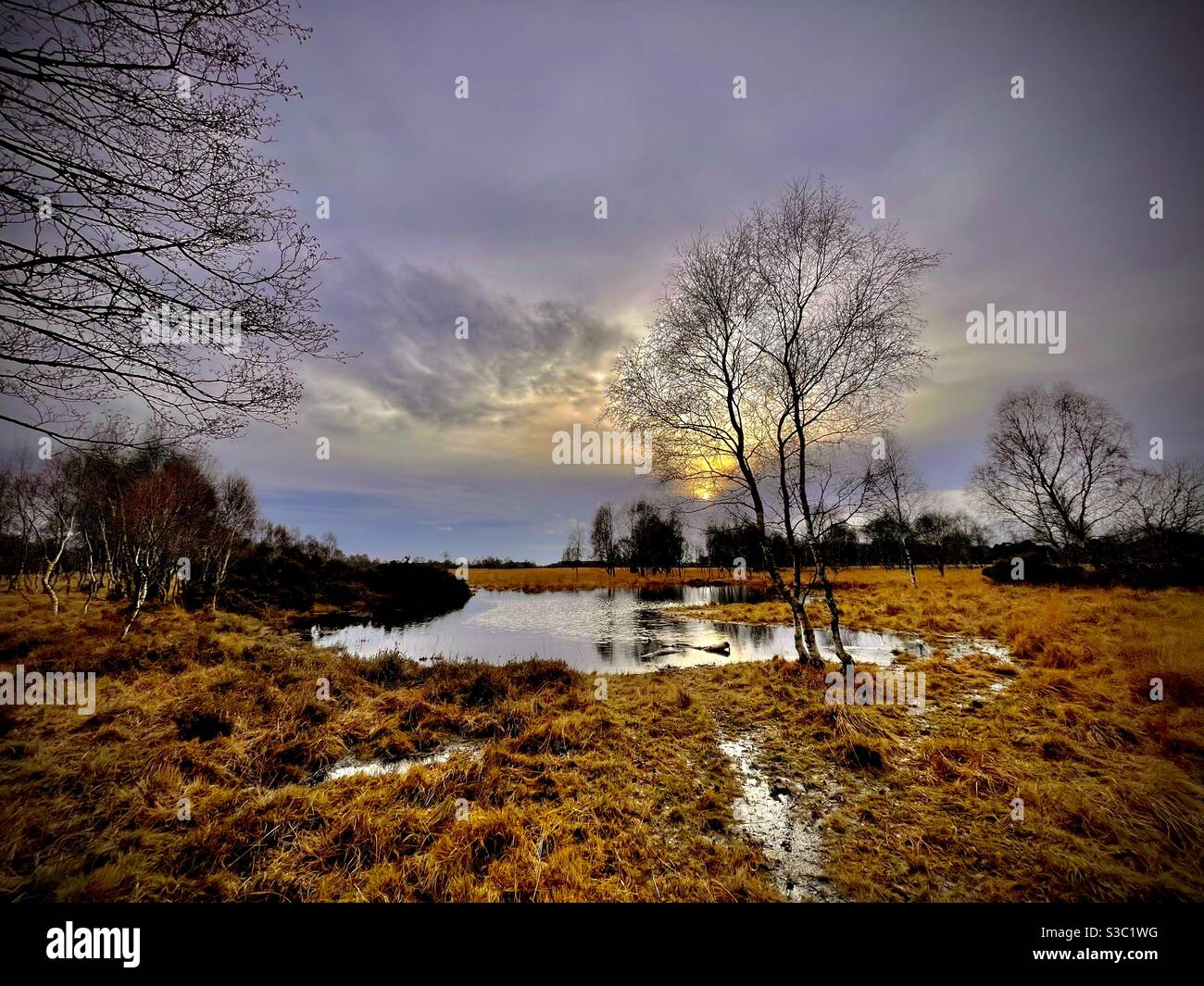 Wintery landscape with water and marsh land Stock Photo - Alamy