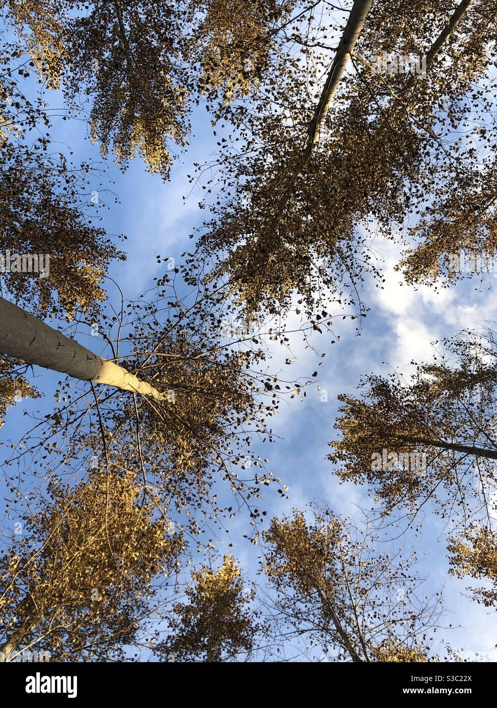 Different perspective hi-res stock photography and images - Alamy