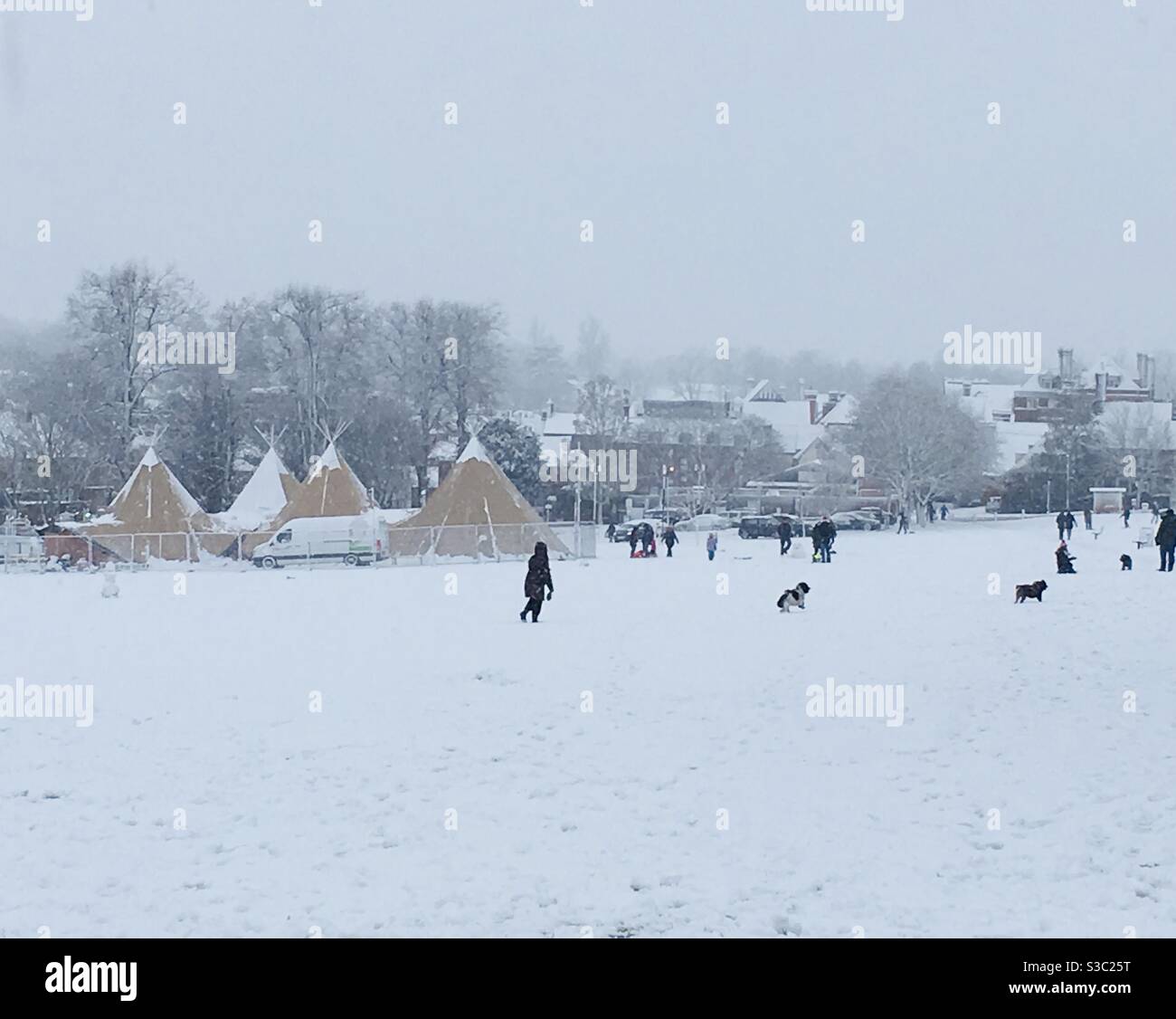 Snow on the common Stock Photo - Alamy