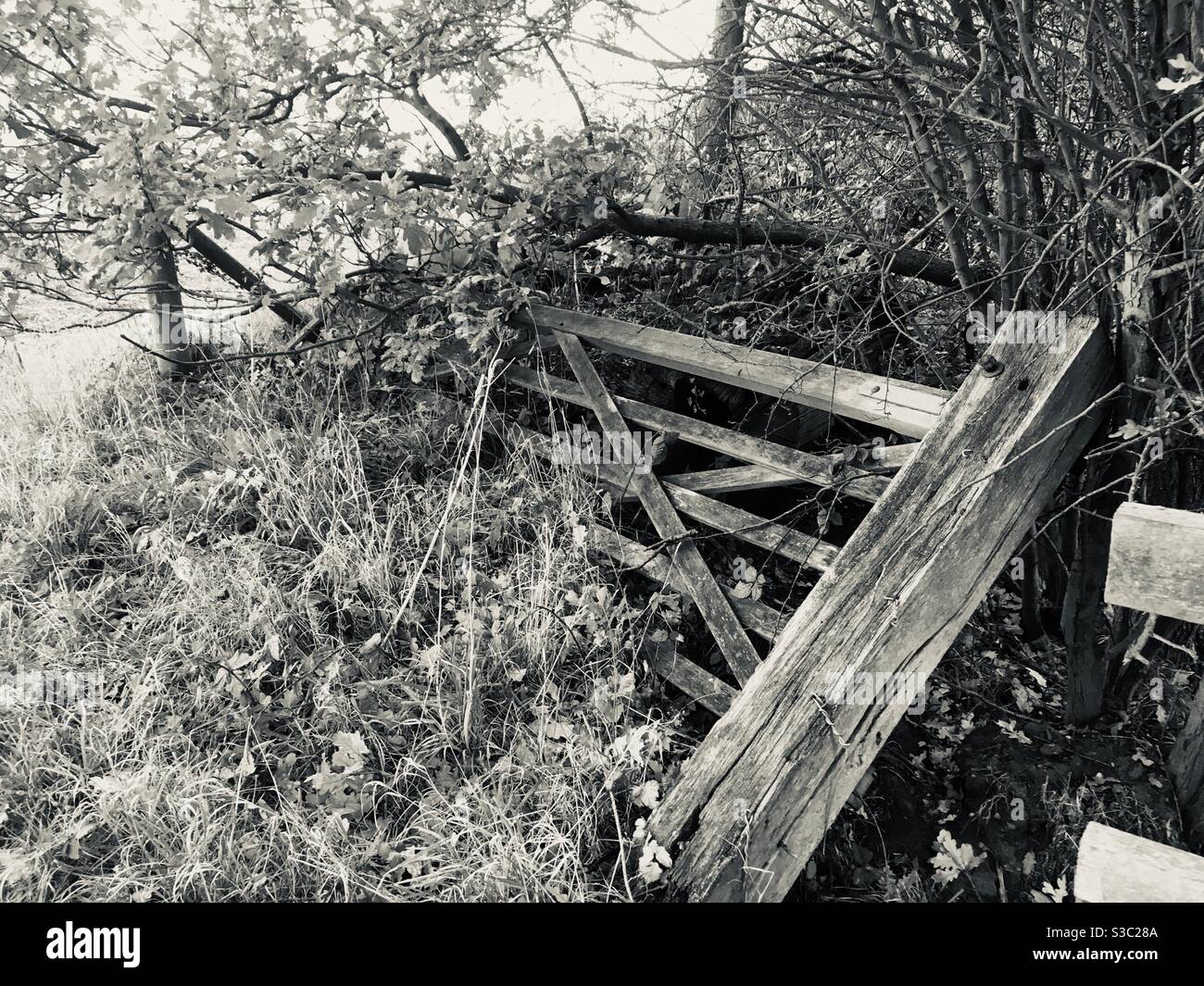 Farm gate broken hi-res stock photography and images - Alamy