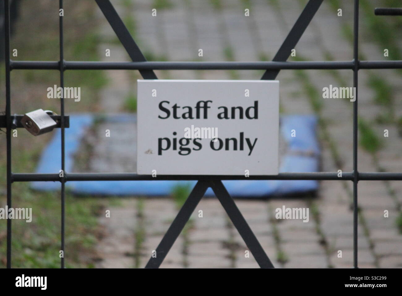 Pig farm farms hi-res stock photography and images - Alamy