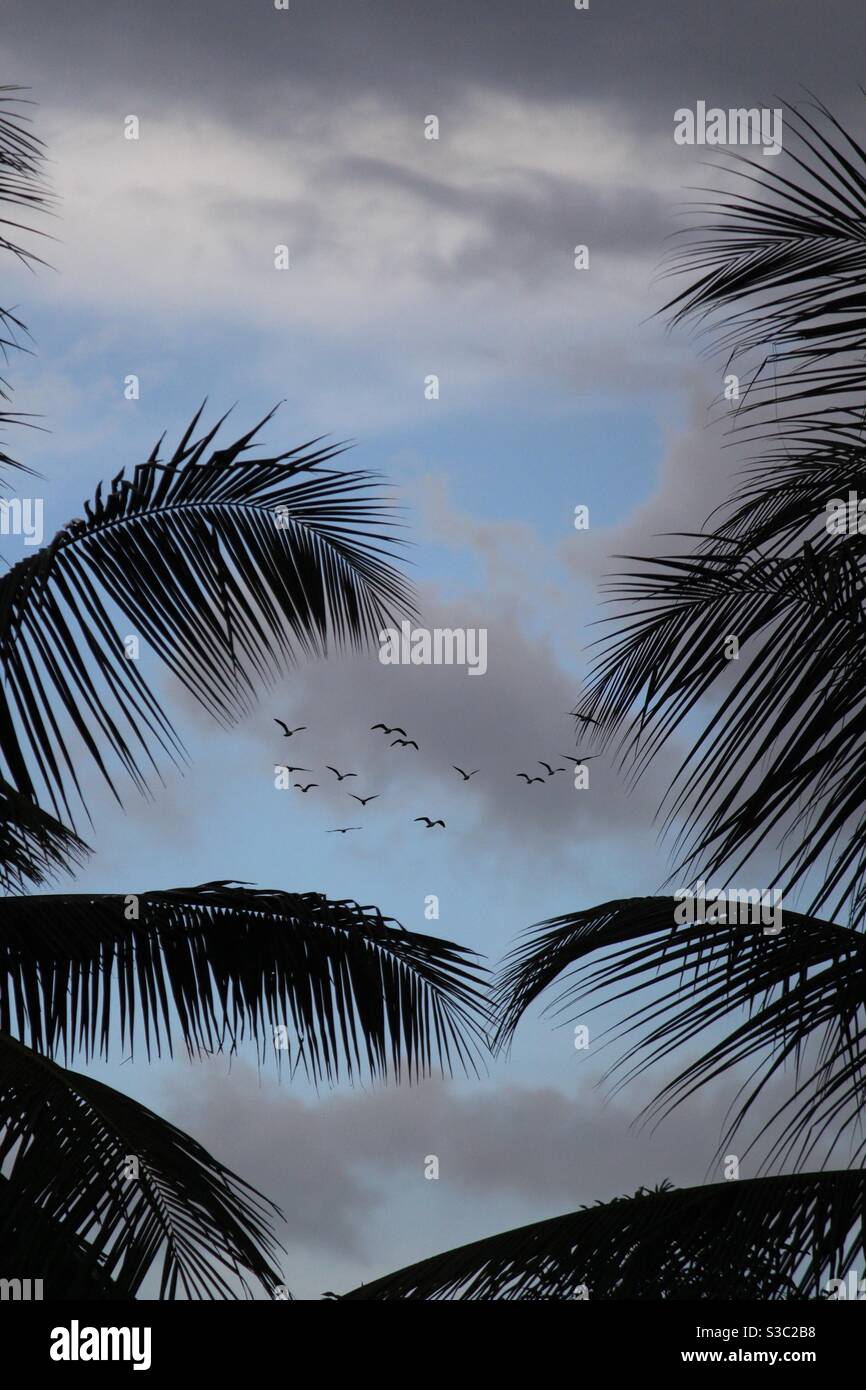 Aesthetic view hi-res stock photography and images - Alamy