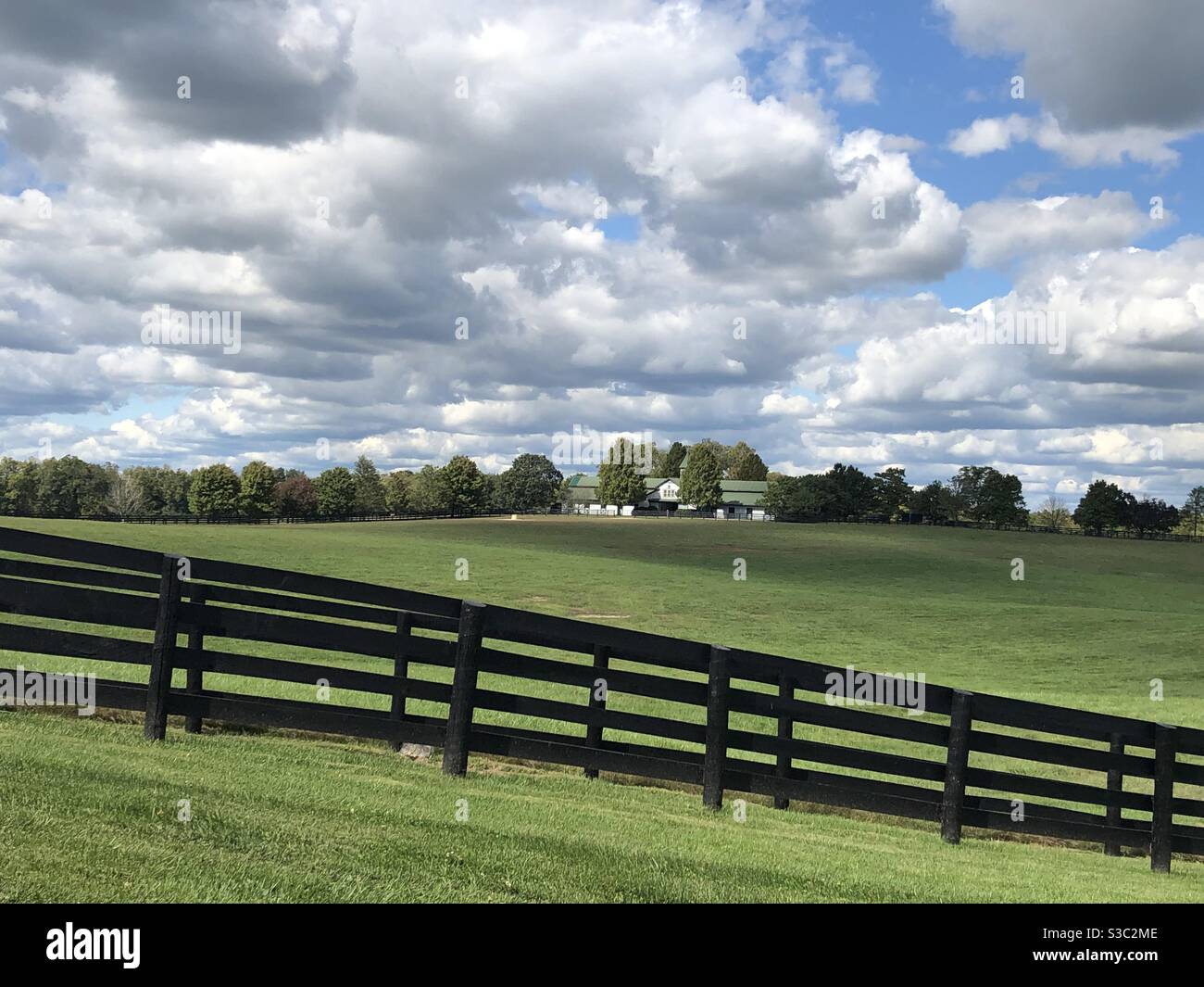 Horse behind fence hi-res stock photography and images - Alamy