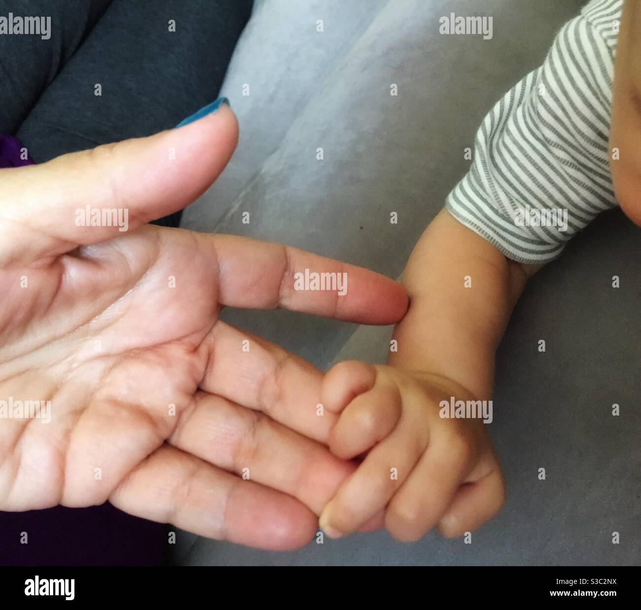 Adult hand hi-res stock photography and images - Alamy