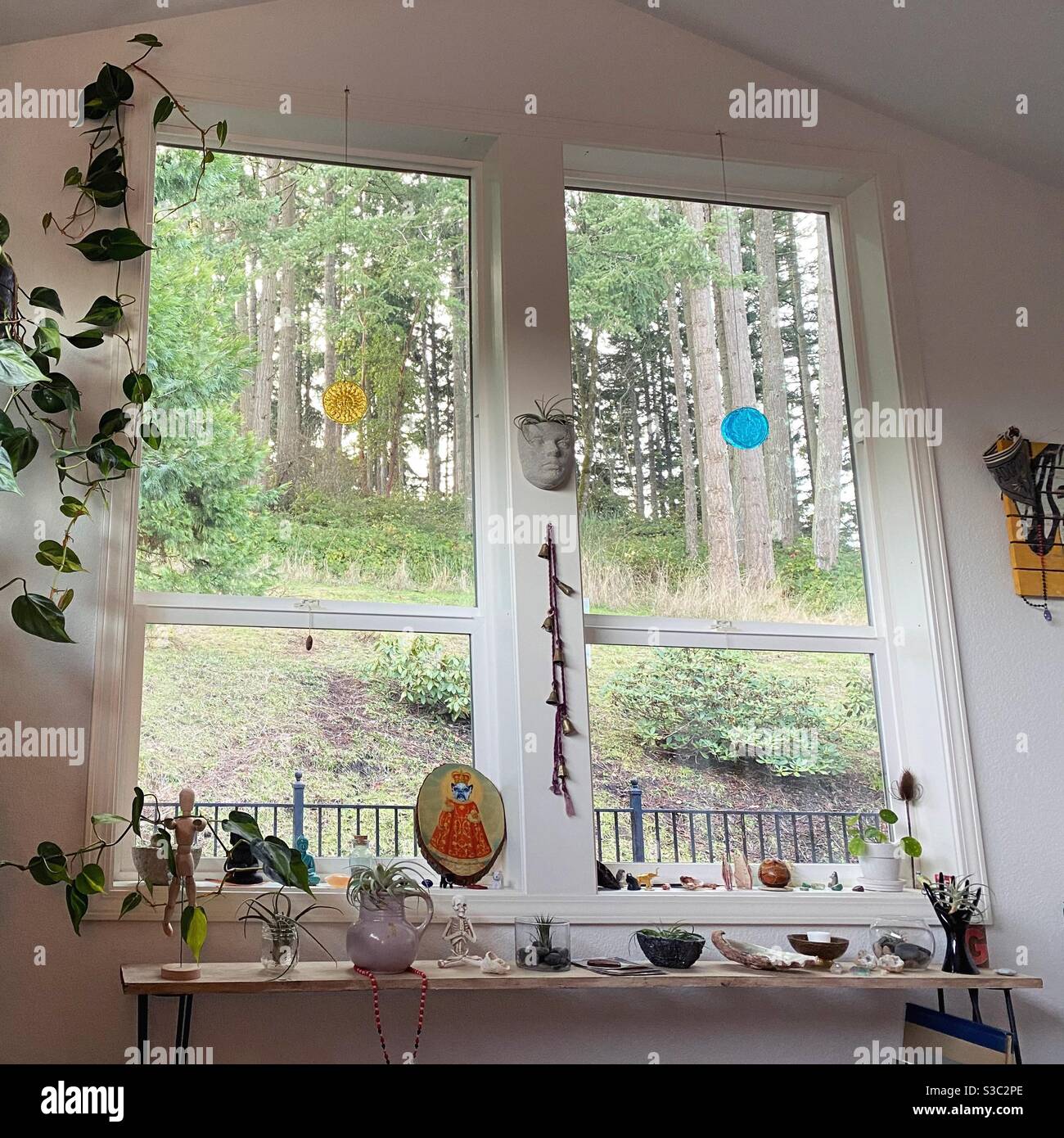 A window into a forest Stock Photo - Alamy