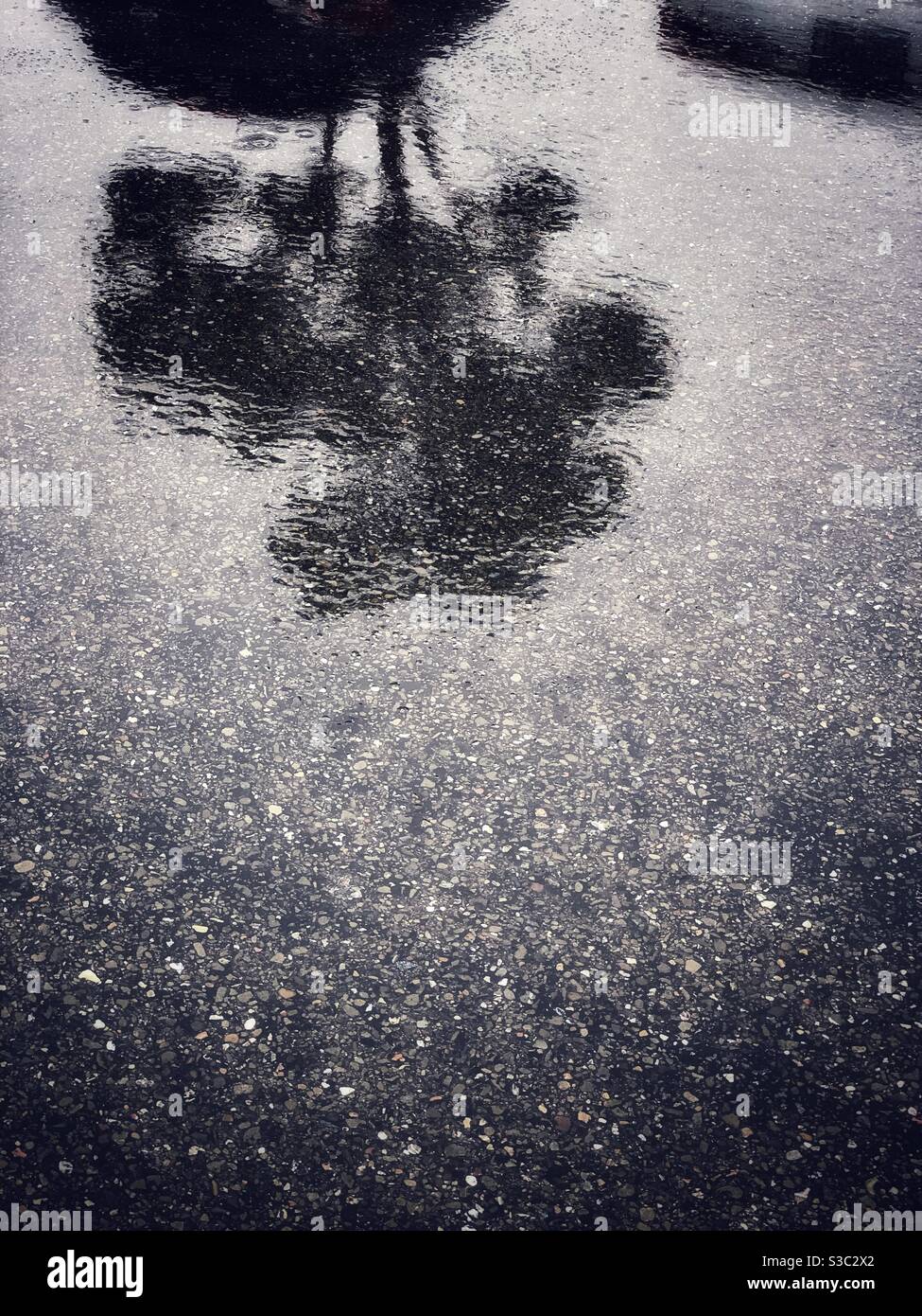 The rain reflection of a car, and a tree Stock Photo - Alamy