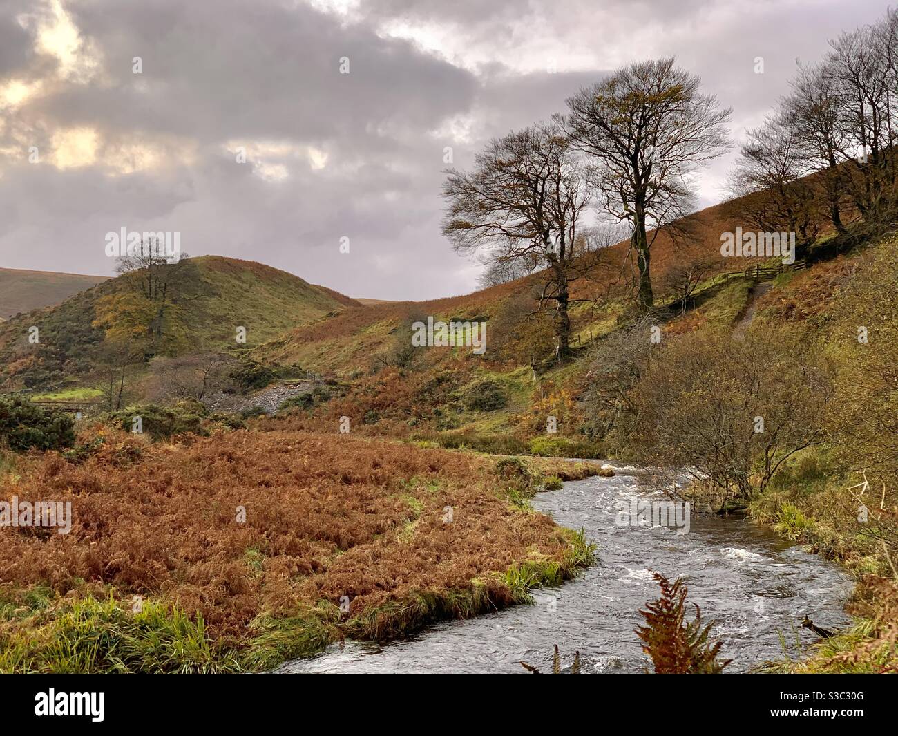 River Barle below Simonsbath in Exmoor, England in winter soft sunlight ...