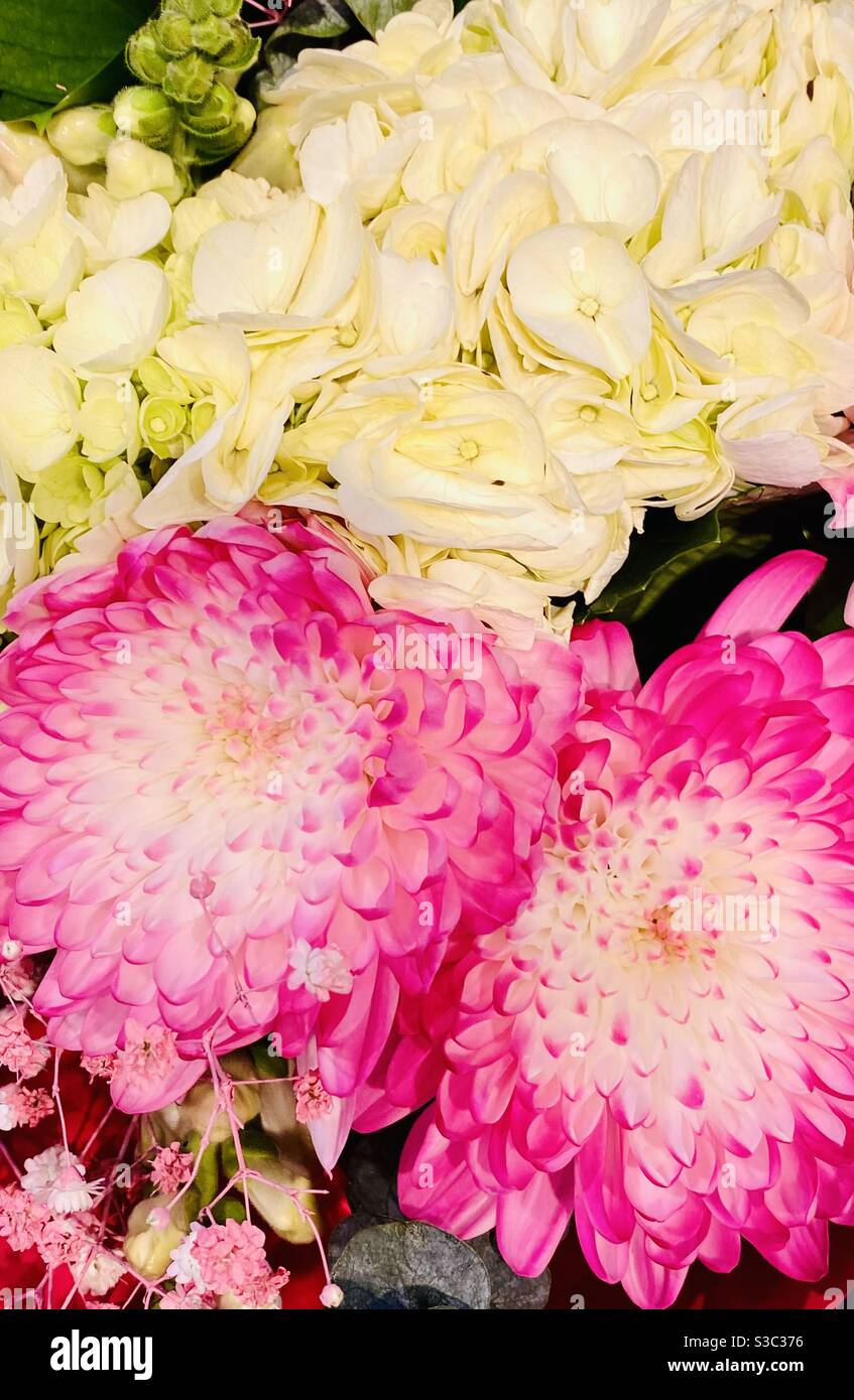 Mixed colorful flowers hi-res stock photography and images - Alamy