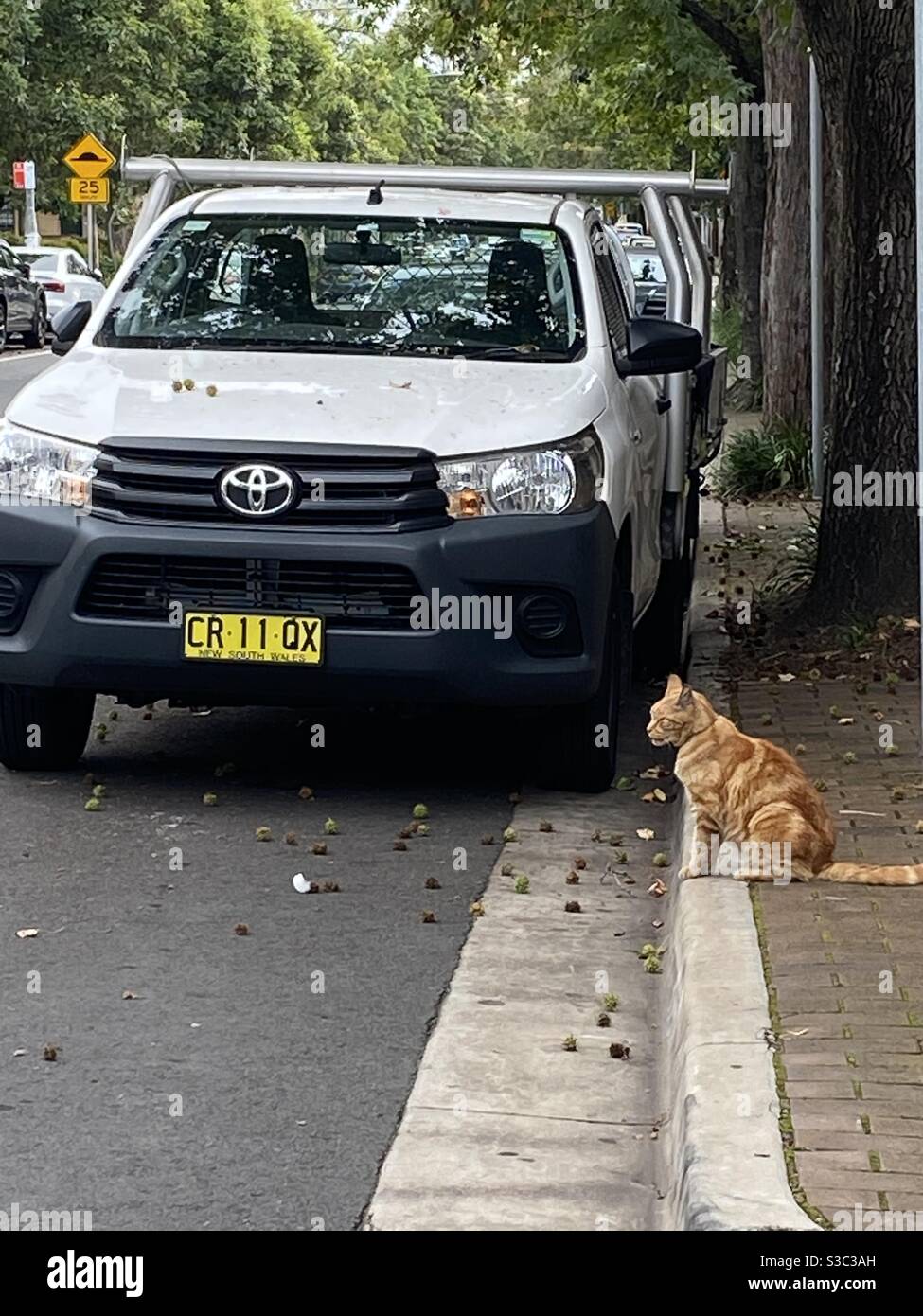Ginger car hi-res stock photography and images - Alamy