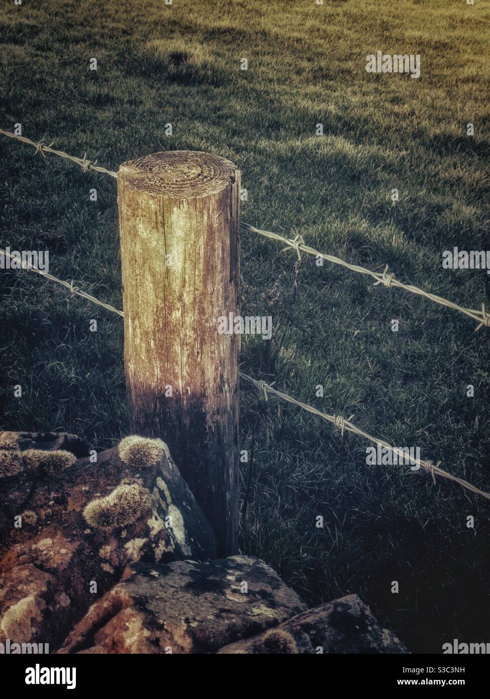 Stone Fence High Resolution Stock Photography and Images - Alamy