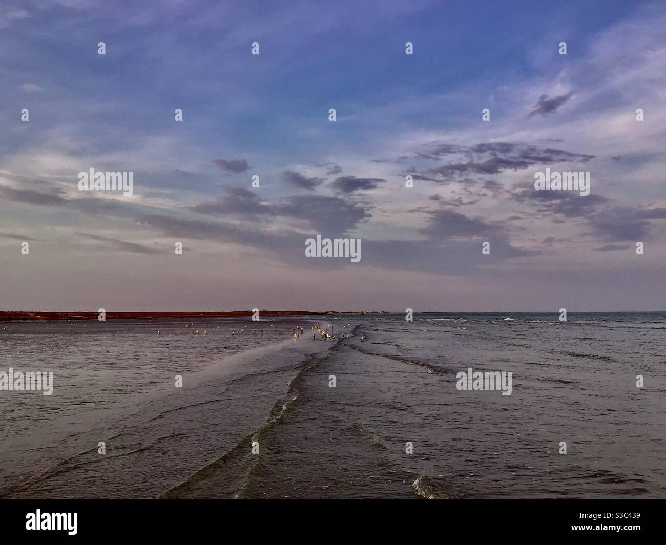 Low waterline hi-res stock photography and images - Alamy