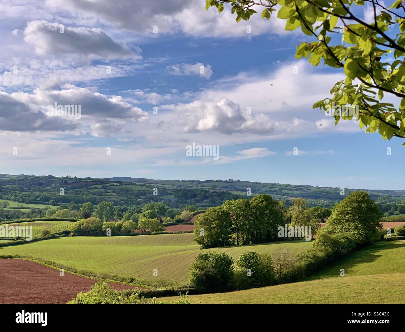 English countryside in may hi-res stock photography and images - Alamy