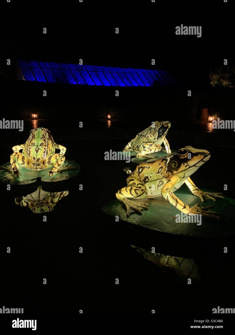 Light model hi-res stock photography and images - Alamy