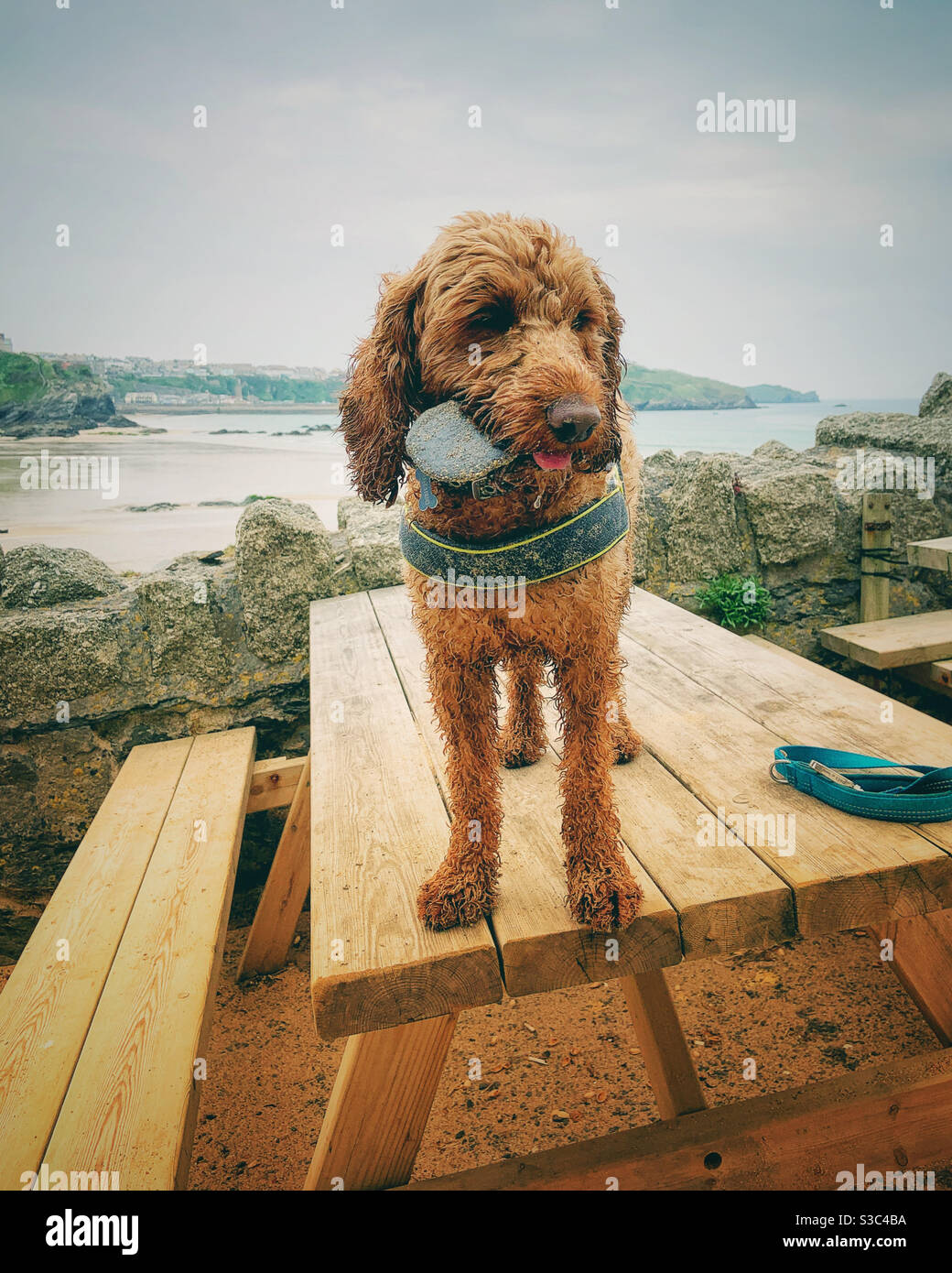 Play stone hi-res stock photography and images - Alamy