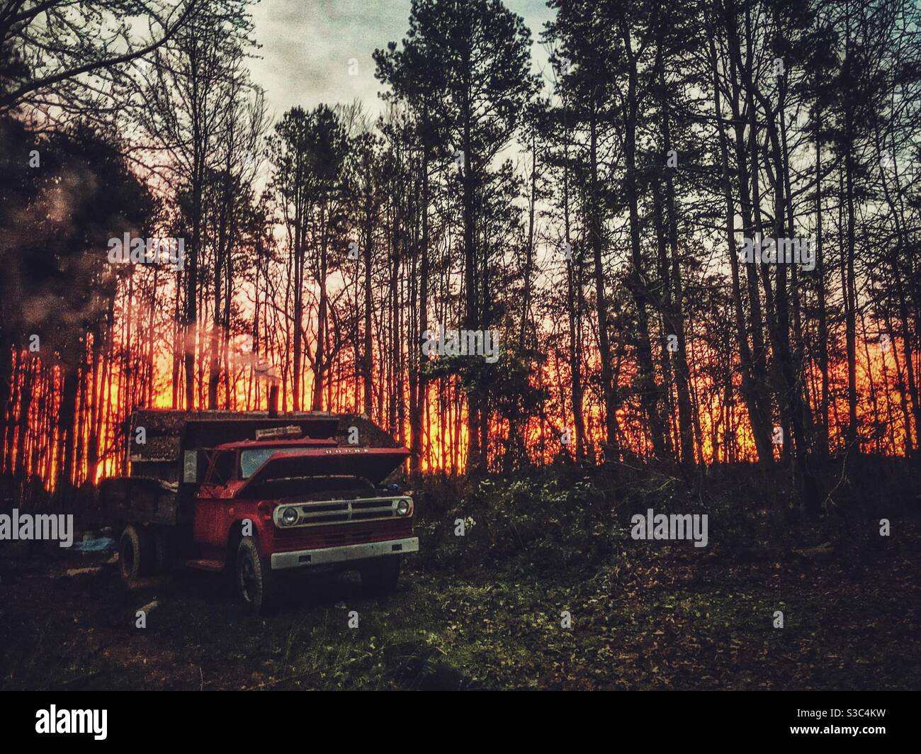 Sunrise behind red dump truck makes woods appear to be on fire Stock ...