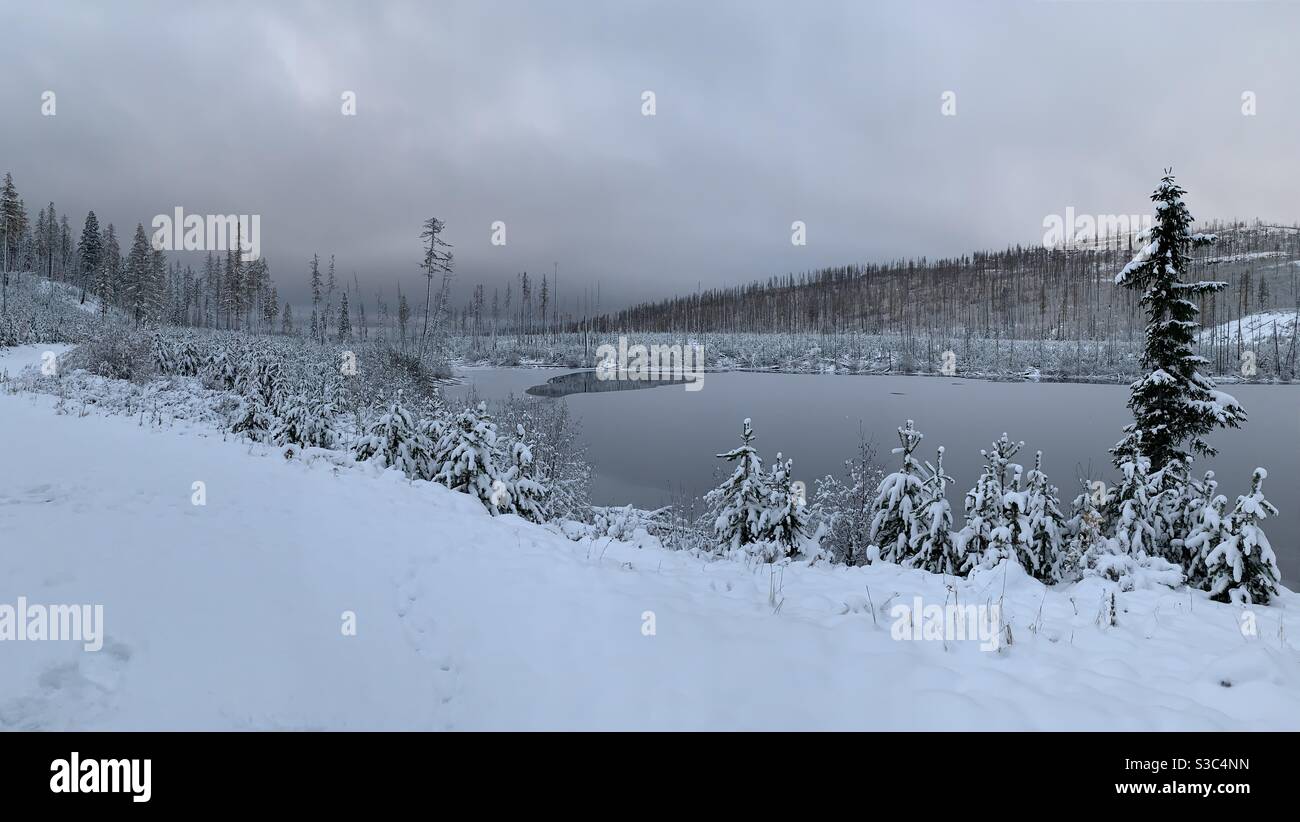 Cold but beautiful Stock Photo - Alamy