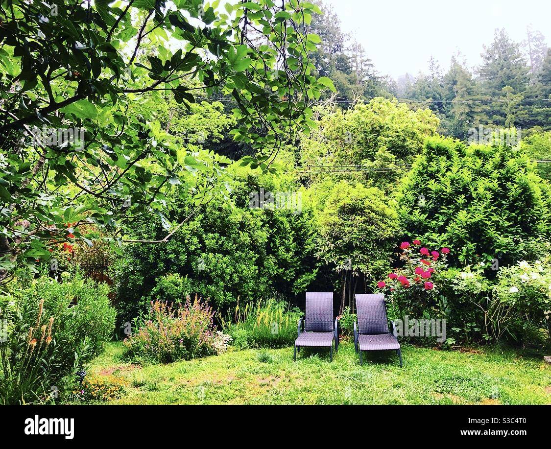 Lush backyard hi-res stock photography and images - Alamy