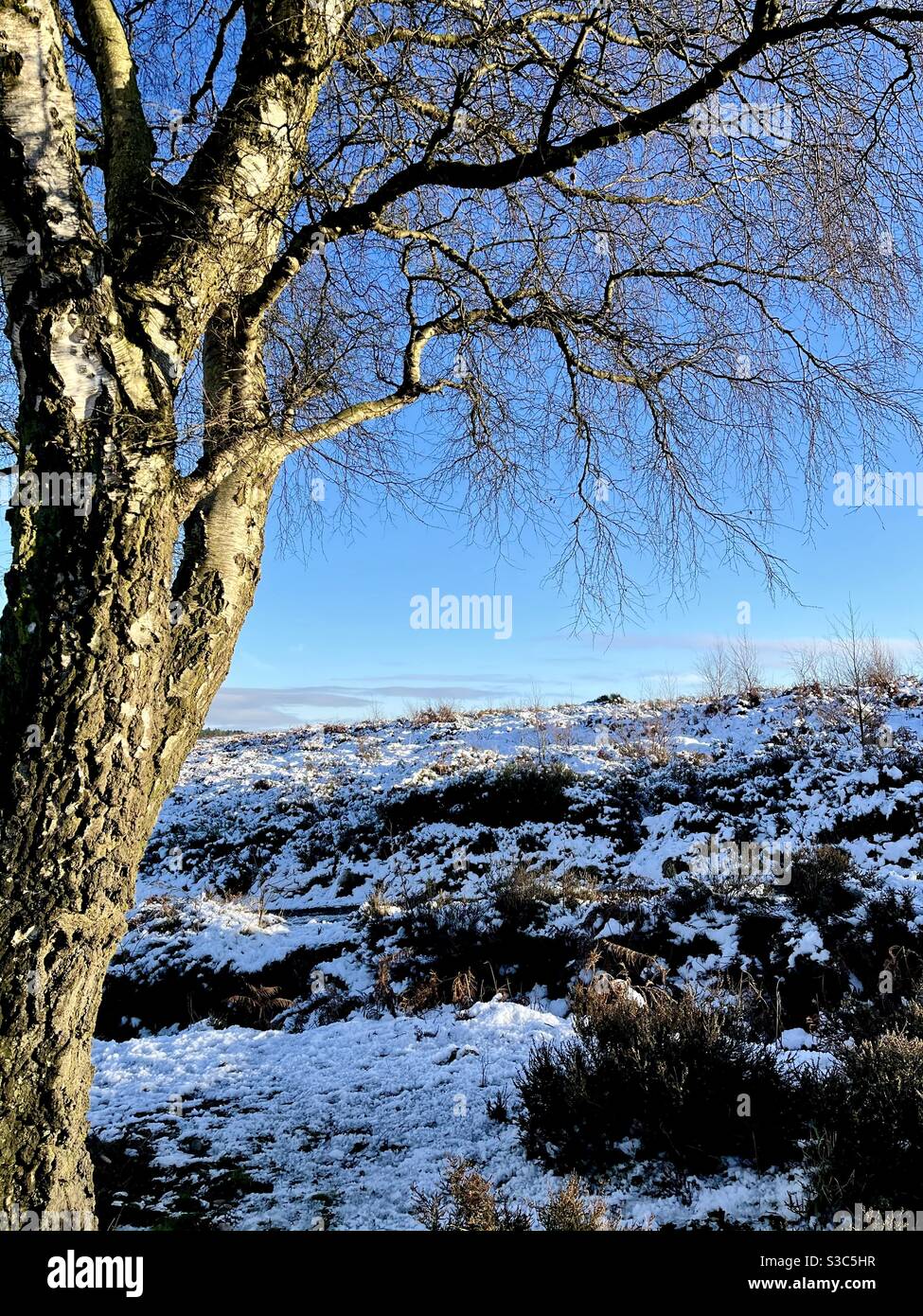 Outside scenery hi-res stock photography and images - Alamy