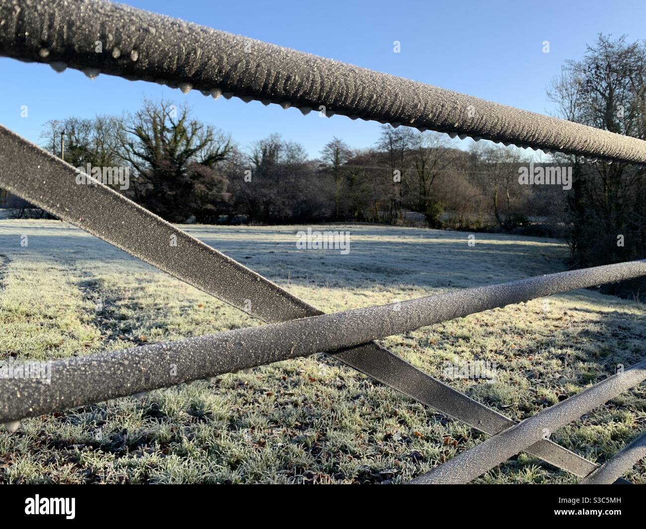 Iron metal gate hi-res stock photography and images - Alamy