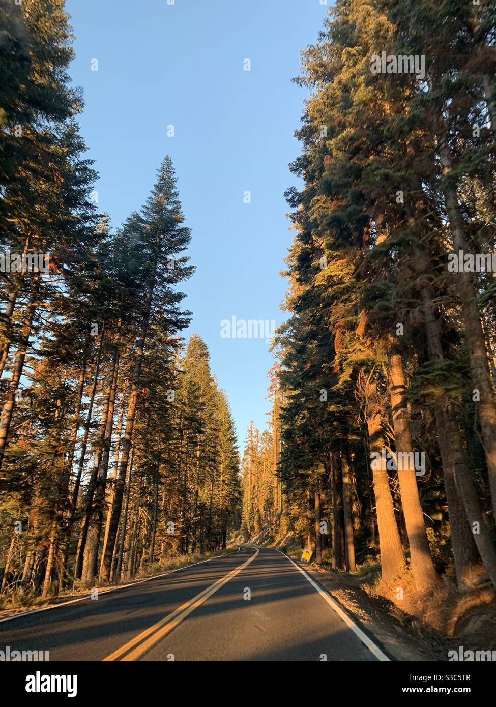Empty road leading into the autumn soft golden light of the giant red ...
