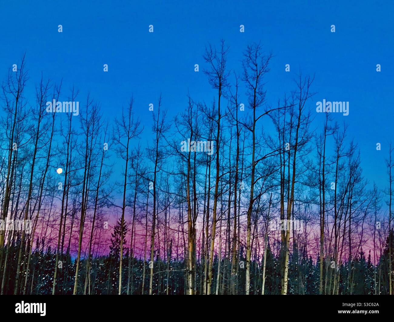 Cold winter nights hi-res stock photography and images - Alamy