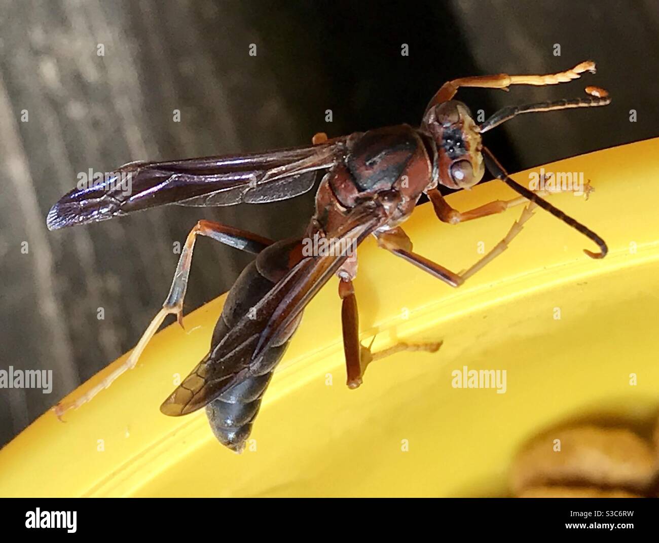 Alamy stock hi-res stock photography and images - Alamy