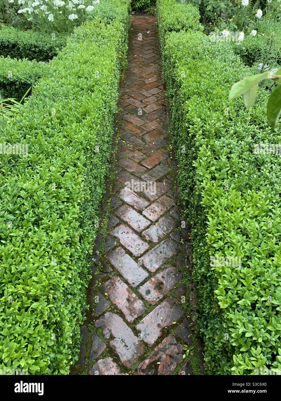 Perfect hedges hi-res stock photography and images - Alamy