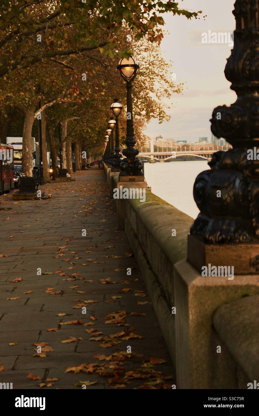 London embankment trees hi-res stock photography and images - Alamy