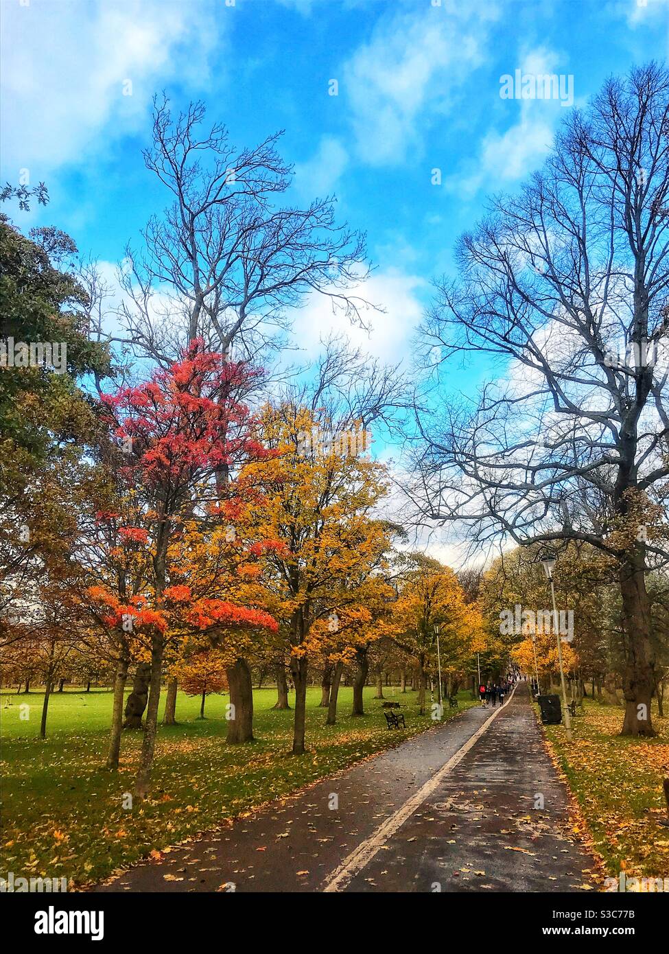 The meadows edinburgh hi-res stock photography and images - Alamy