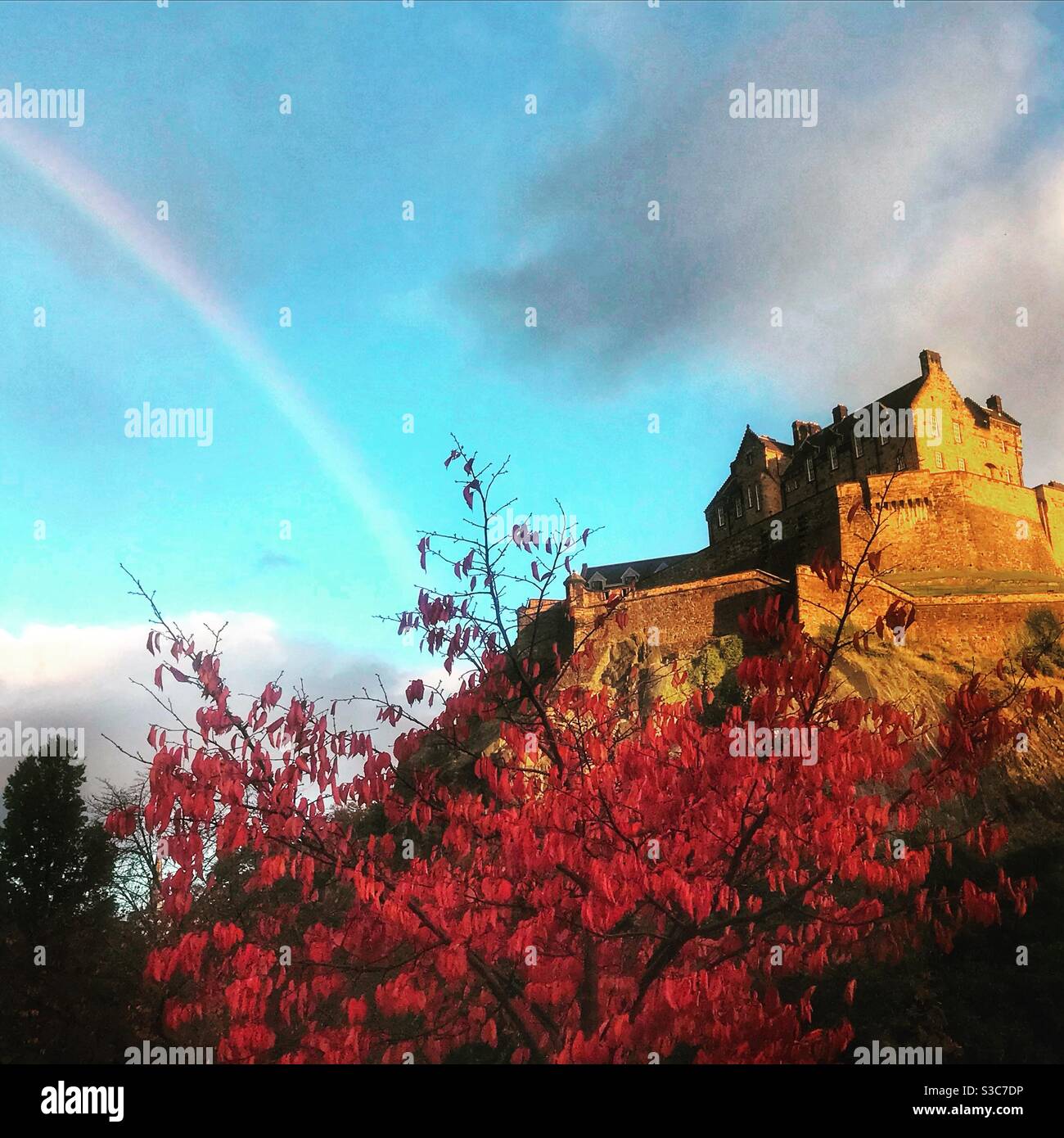 Autumn at Edinburgh castle - Scotland 🏴󠁧󠁢󠁳󠁣󠁴󠁿 Stock Photo - Alamy