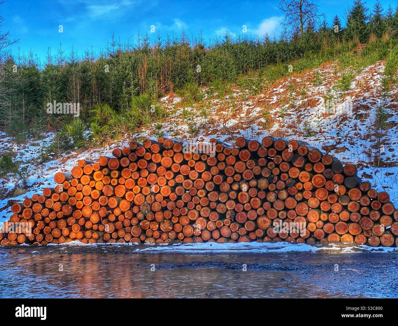 Snowy log pile hi-res stock photography and images - Alamy