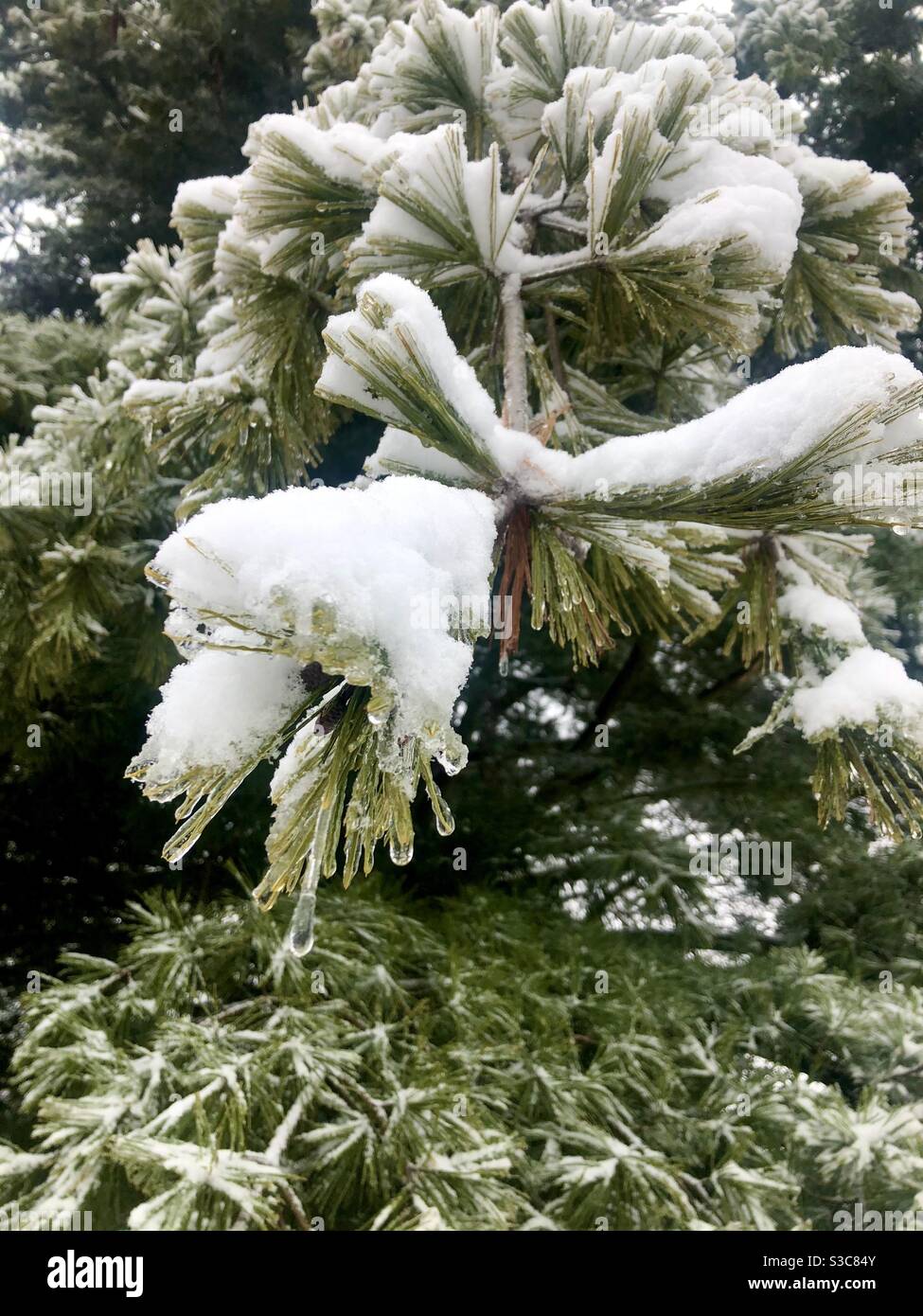Michigan snow storm hi-res stock photography and images - Alamy