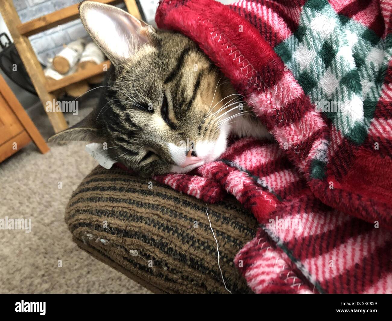 Warm sleeping hi-res stock photography and images - Alamy