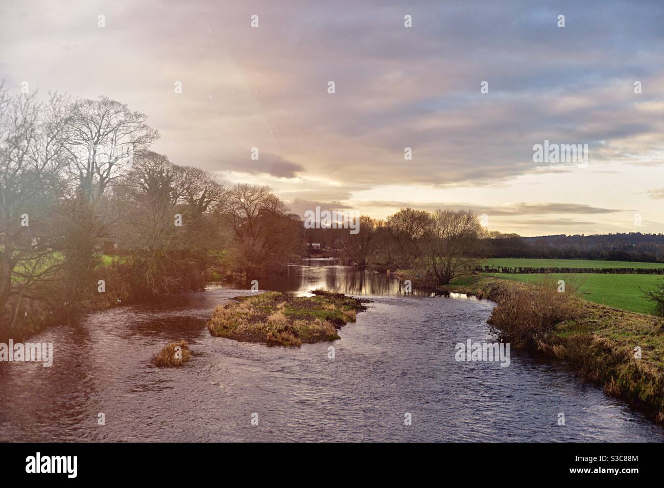 Riverside with trees hi-res stock photography and images - Alamy
