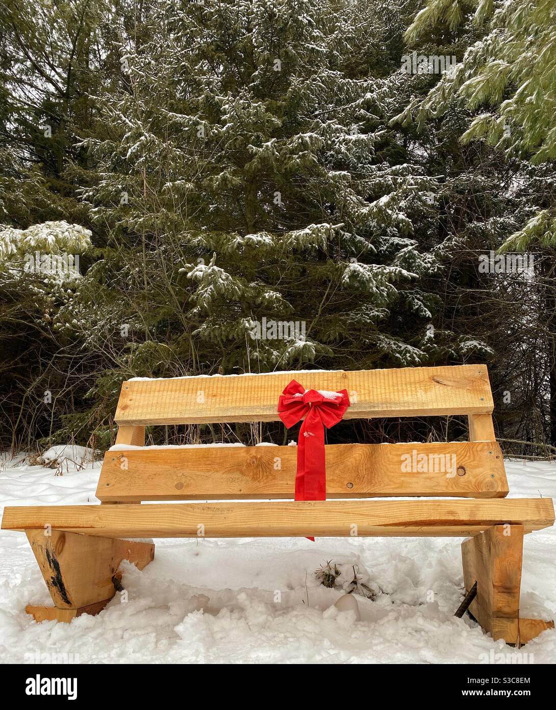 Christmas bench hi-res stock photography and images - Alamy