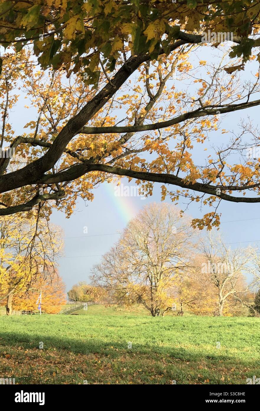 Hint Of Trees High Resolution Stock Photography and Images - Alamy