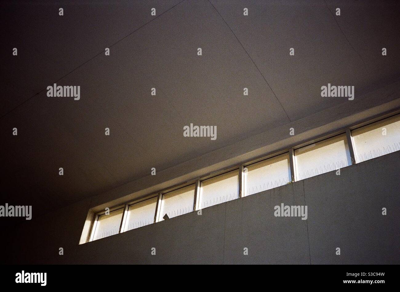 untitled - olympus infinity twin, kodak ultramax 400 Stock Photo - Alamy