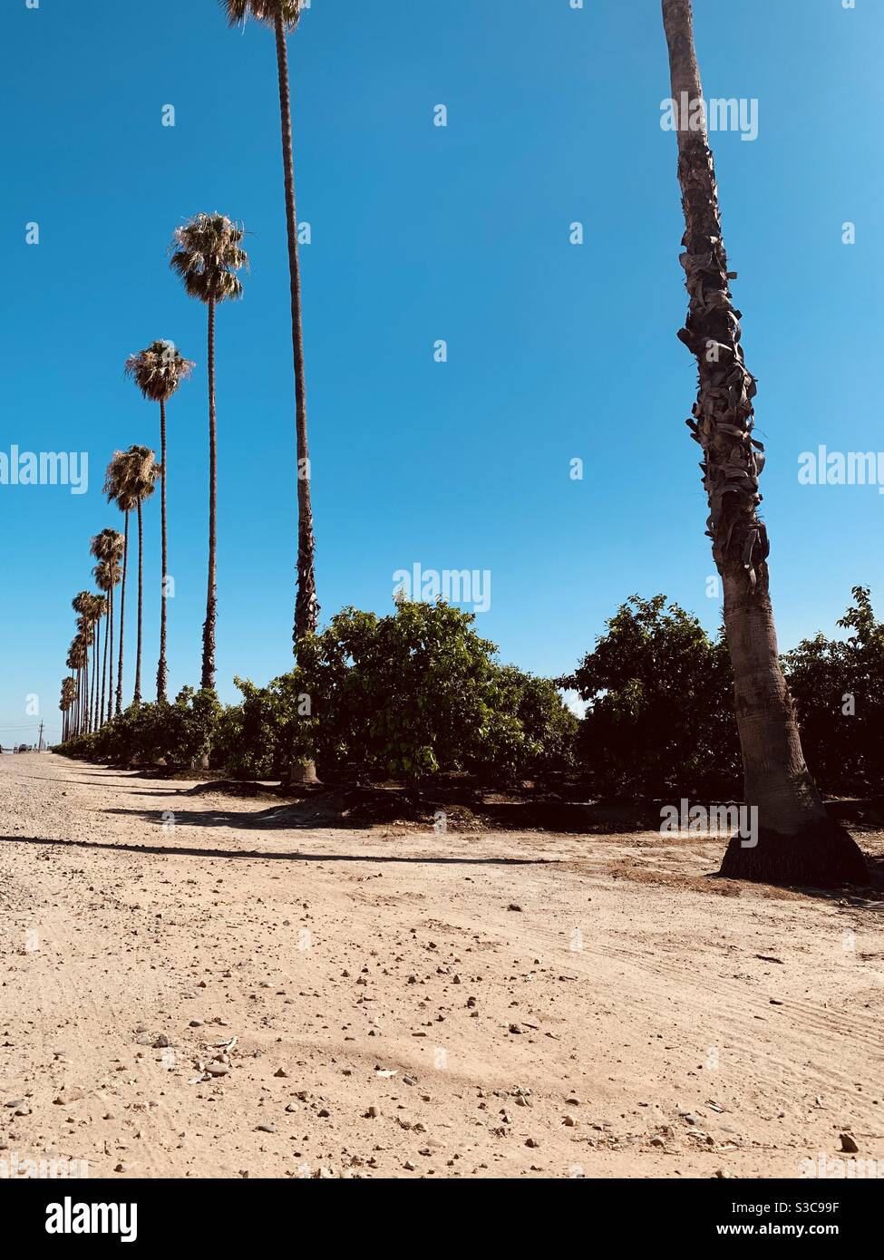 California roads hi-res stock photography and images - Alamy