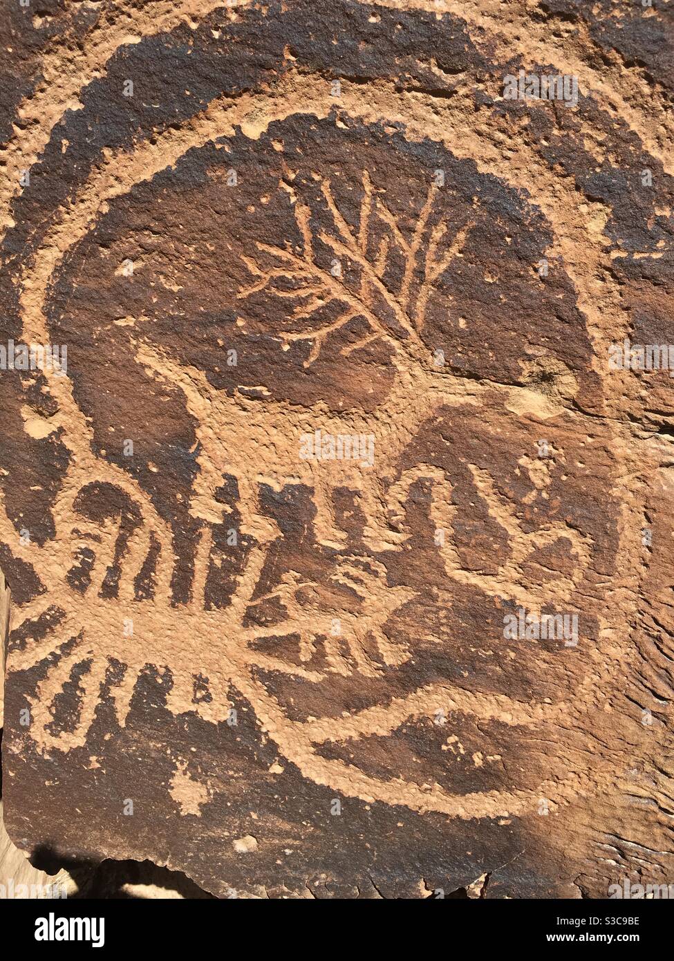 Indian petroglyphs hi-res stock photography and images - Alamy