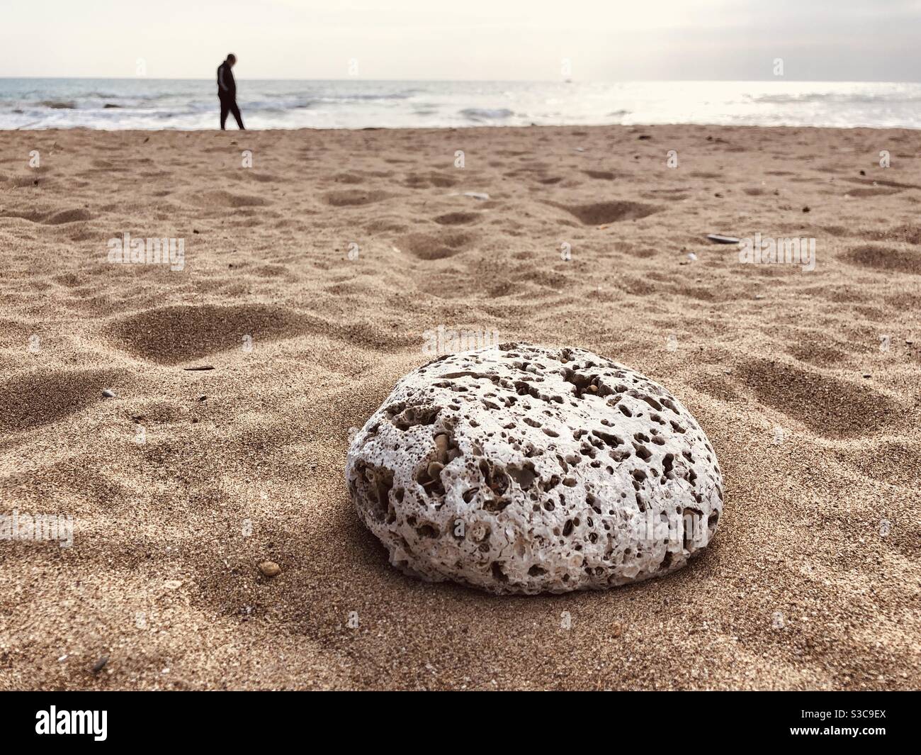 Textured rock on sandy beach Stock Photo - Alamy